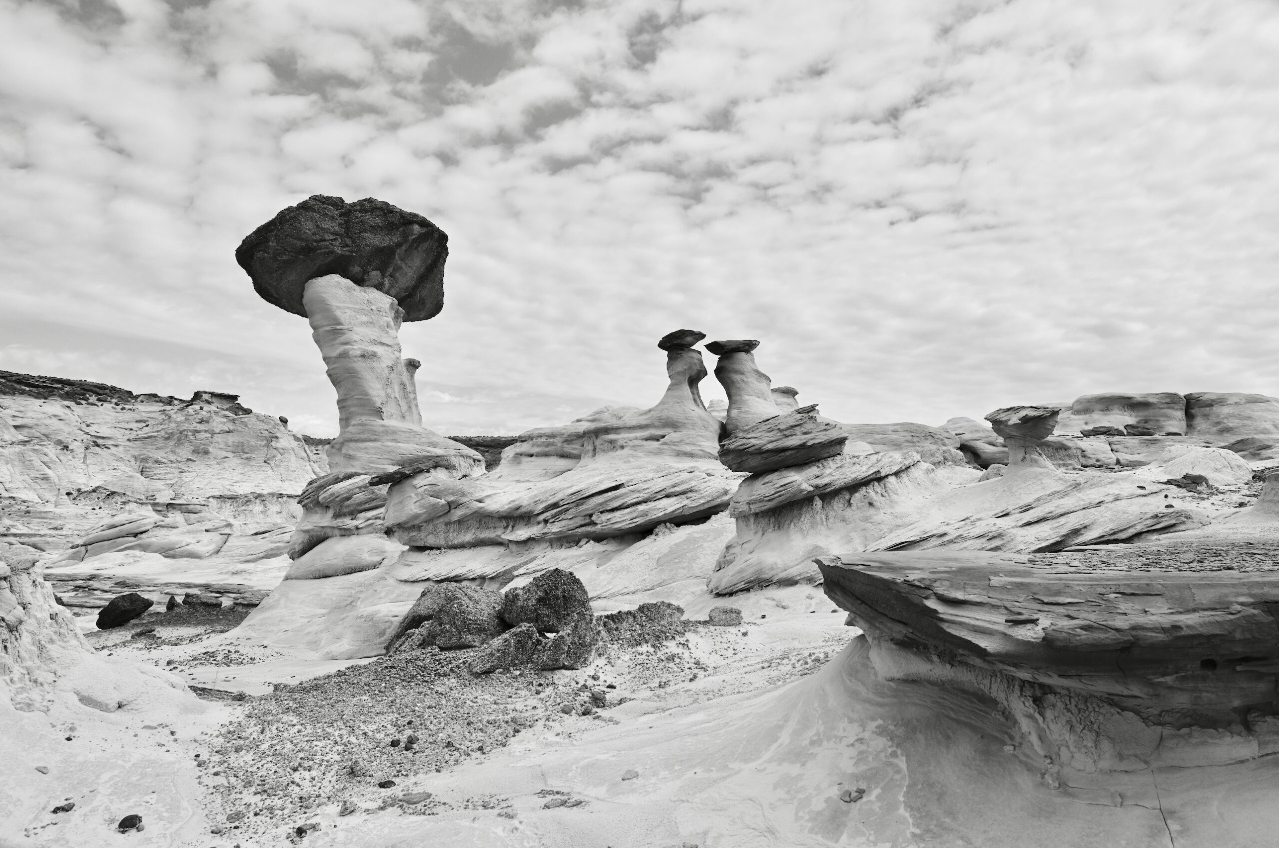 Priscilla Rattazzi – Photographer/Author